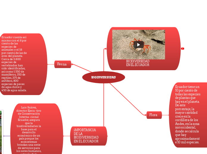 BIODIVERSIDAD - Mind Map